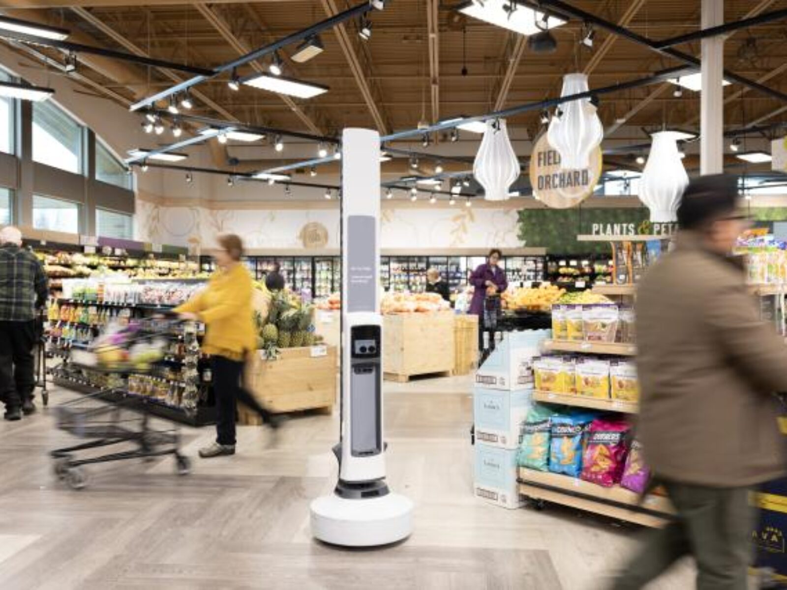 Portfolio: Simbe Robotics · Valo Ventures